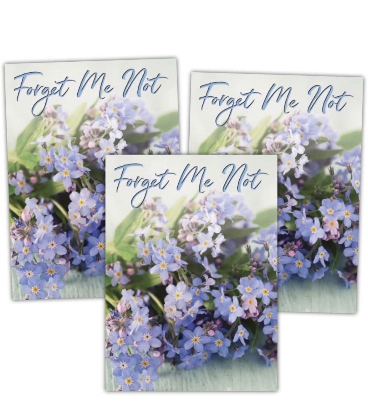 Leaving Memories – Rosieness Revue