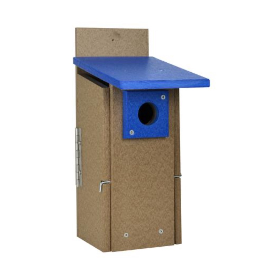 Bluebird Sanctuary – Rosieness Revue